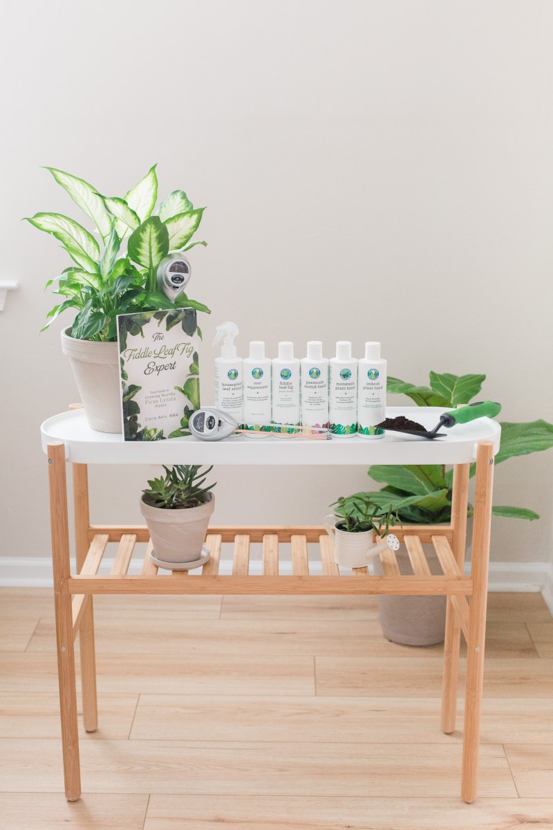 Indoor Plant Food | The Fiddle Leaf Fig Plant Resource