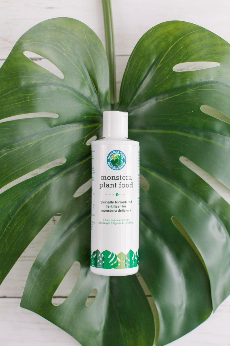 Monstera Plant Food | The Fiddle Leaf Fig Plant Resource