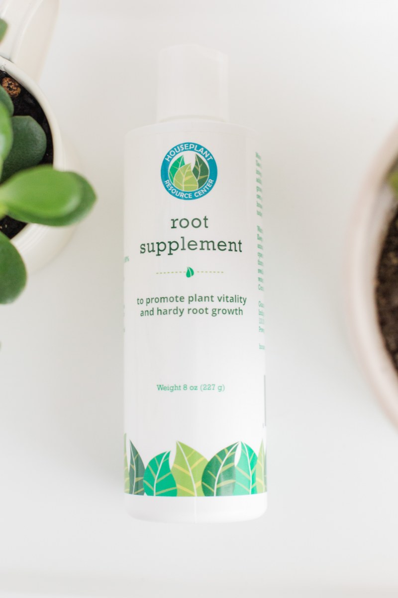 Root Supplement | The Fiddle Leaf Fig Plant Resource