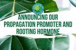 Announcing Our Propagation Promoter and Rooting Hormone