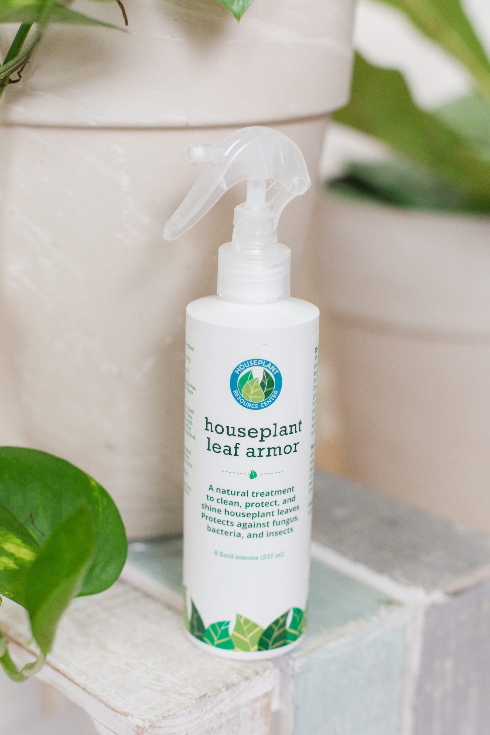 Using Neem Oil on Fiddle Leaf Figs | When and How to Use It